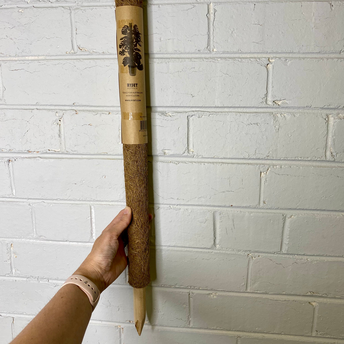 Coco Totem Pole 60cm – JoJo's Greens