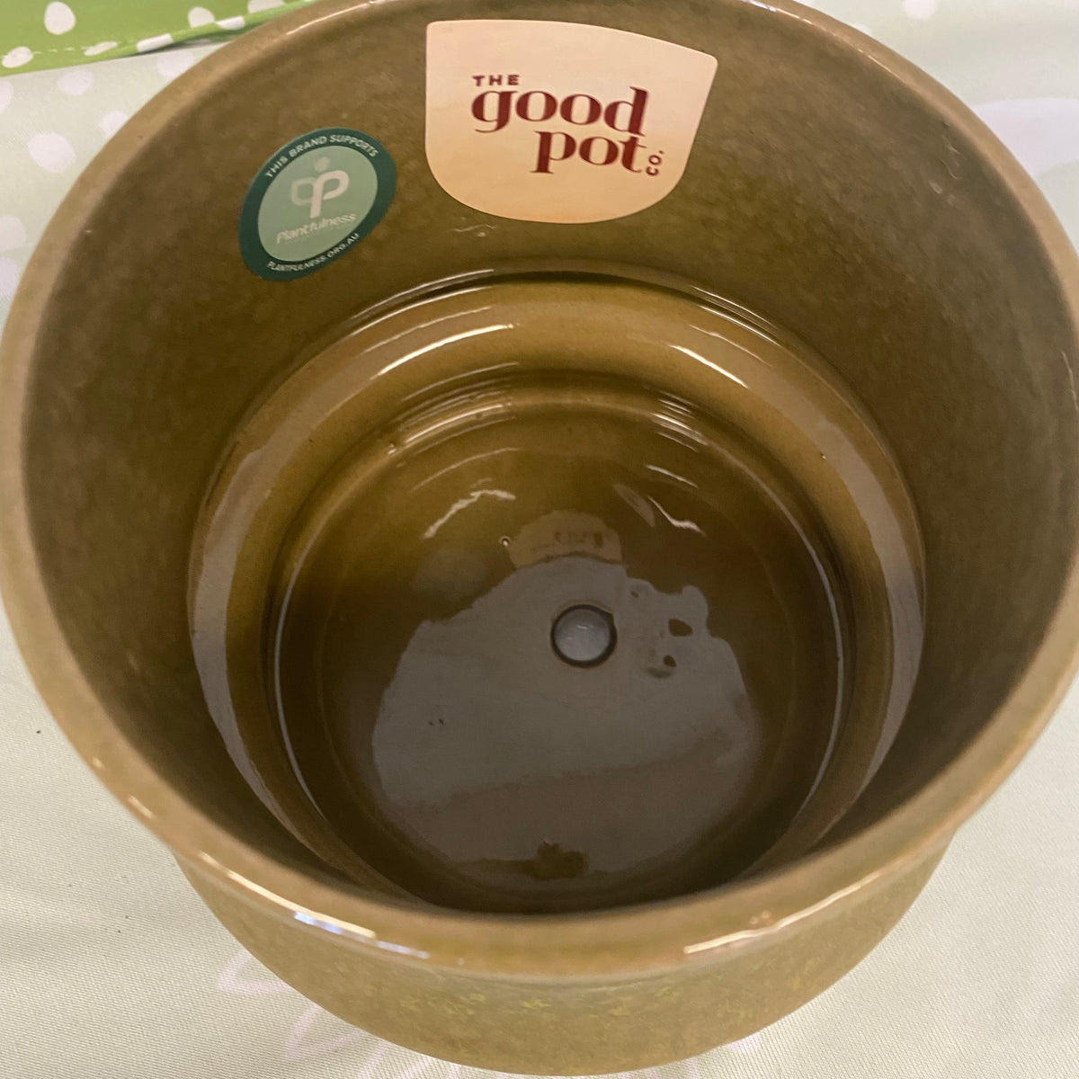 Lennon Pot - Forest – JoJo's Greens